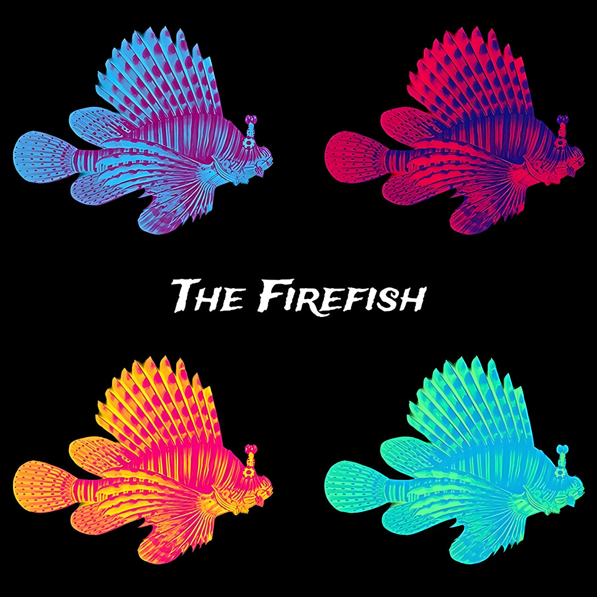 The Firefish | The Firefish