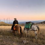 My Scrumble and Dums | Gideon Irving