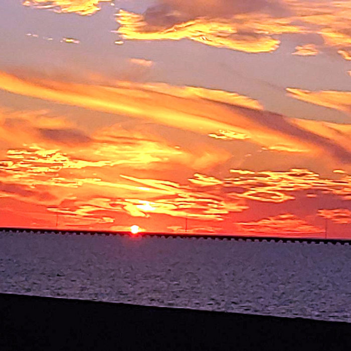 Remain (demo) | Thalia Zedek
