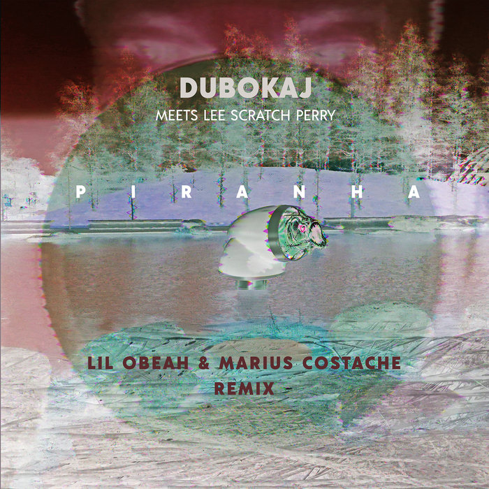 Piranha (Lil Obeah x Marius Costache Remix) | Dubokaj, Lee Scratch ...