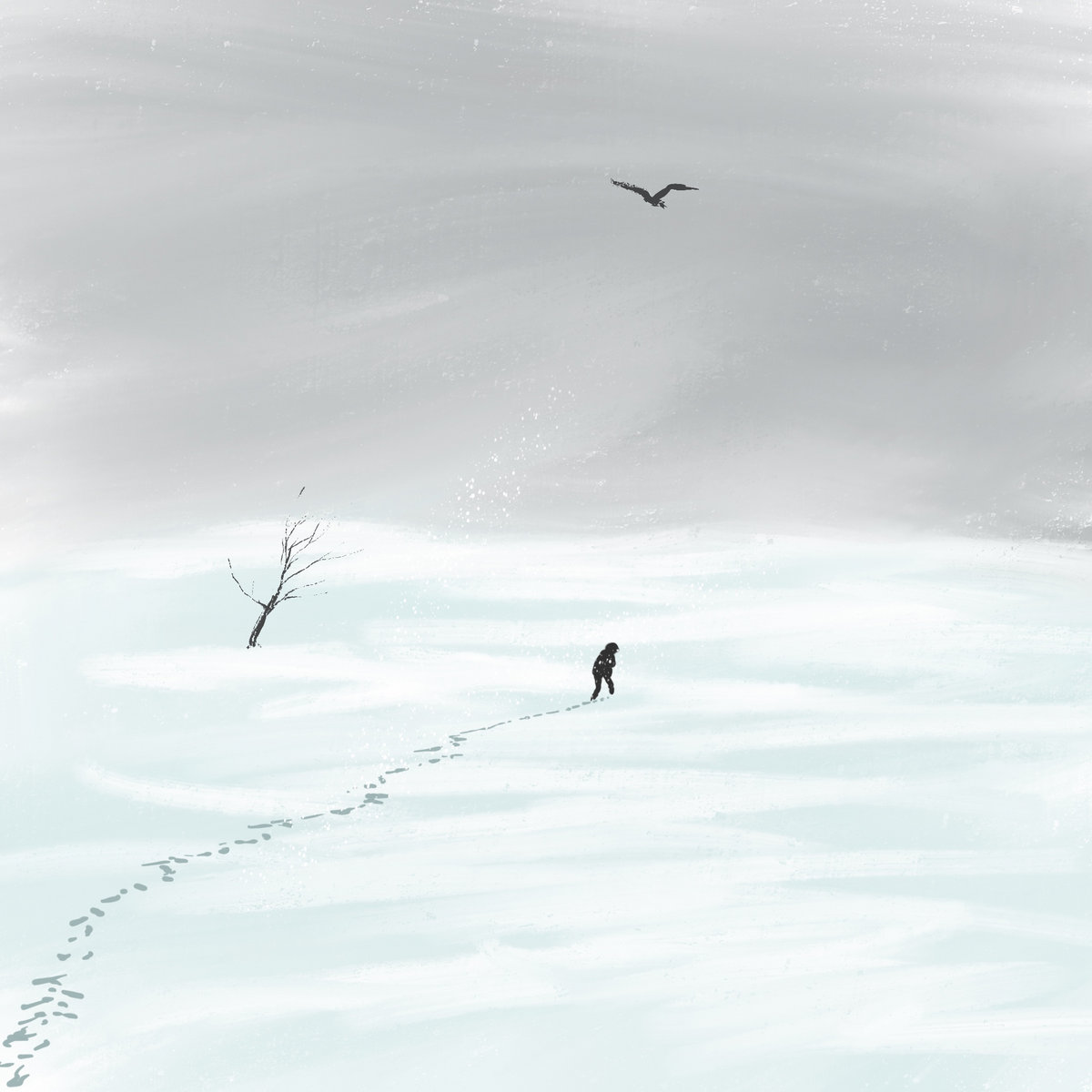 Whale Road | Barney Connolly