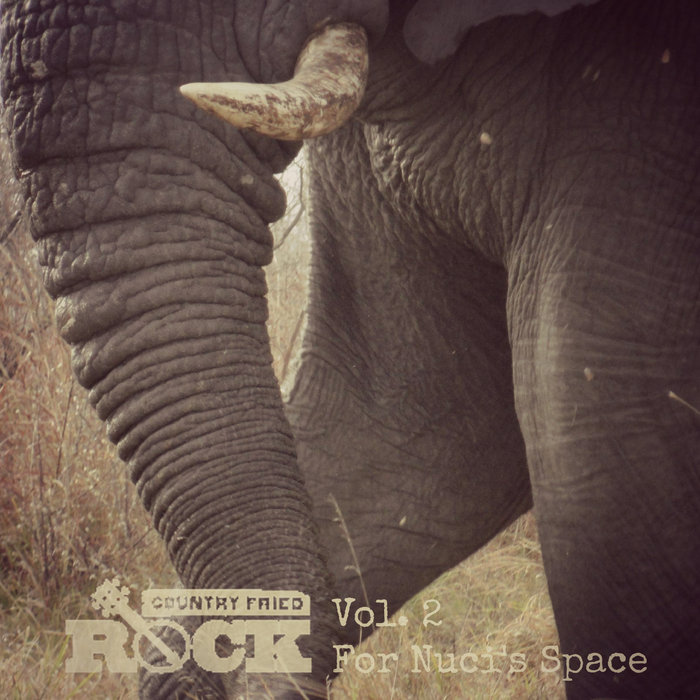 Country Fried Rock Vol. 2 For Nuci's Space | Country Fried Rock