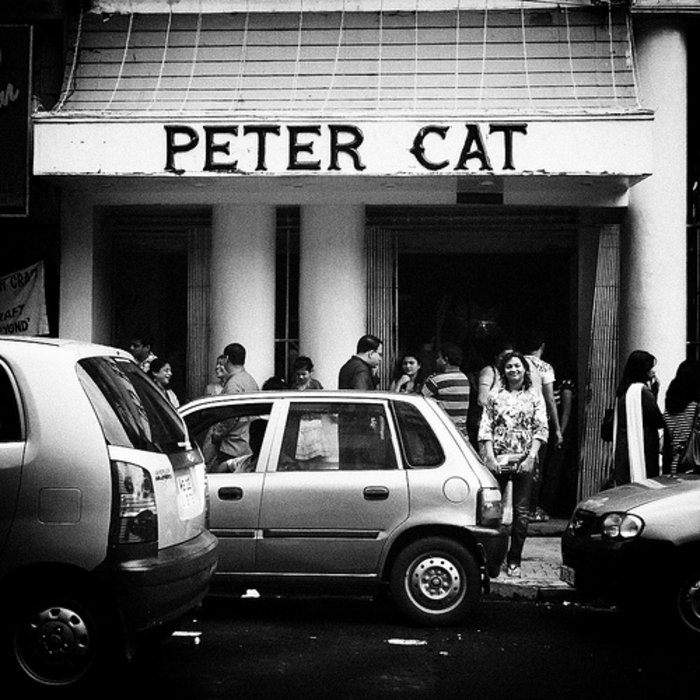 CAT 1: The Cat Returns | Peter Cat