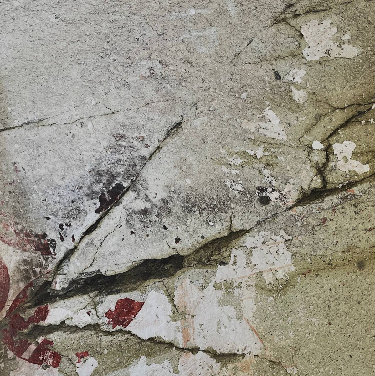 Computer imagined organisms - NGM021 | R-010 (incl. Vardae remix) | Inguma Records