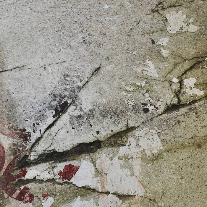 Computer imagined organisms - NGM021 | R-010 (incl. Vardae remix) | Inguma Records