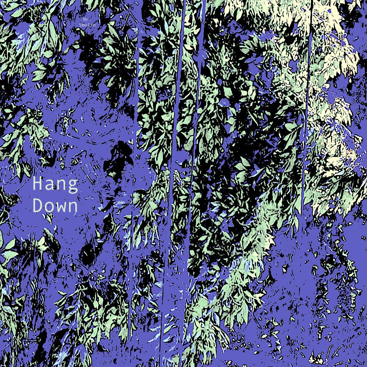 Hang Down | Mr. Smolin