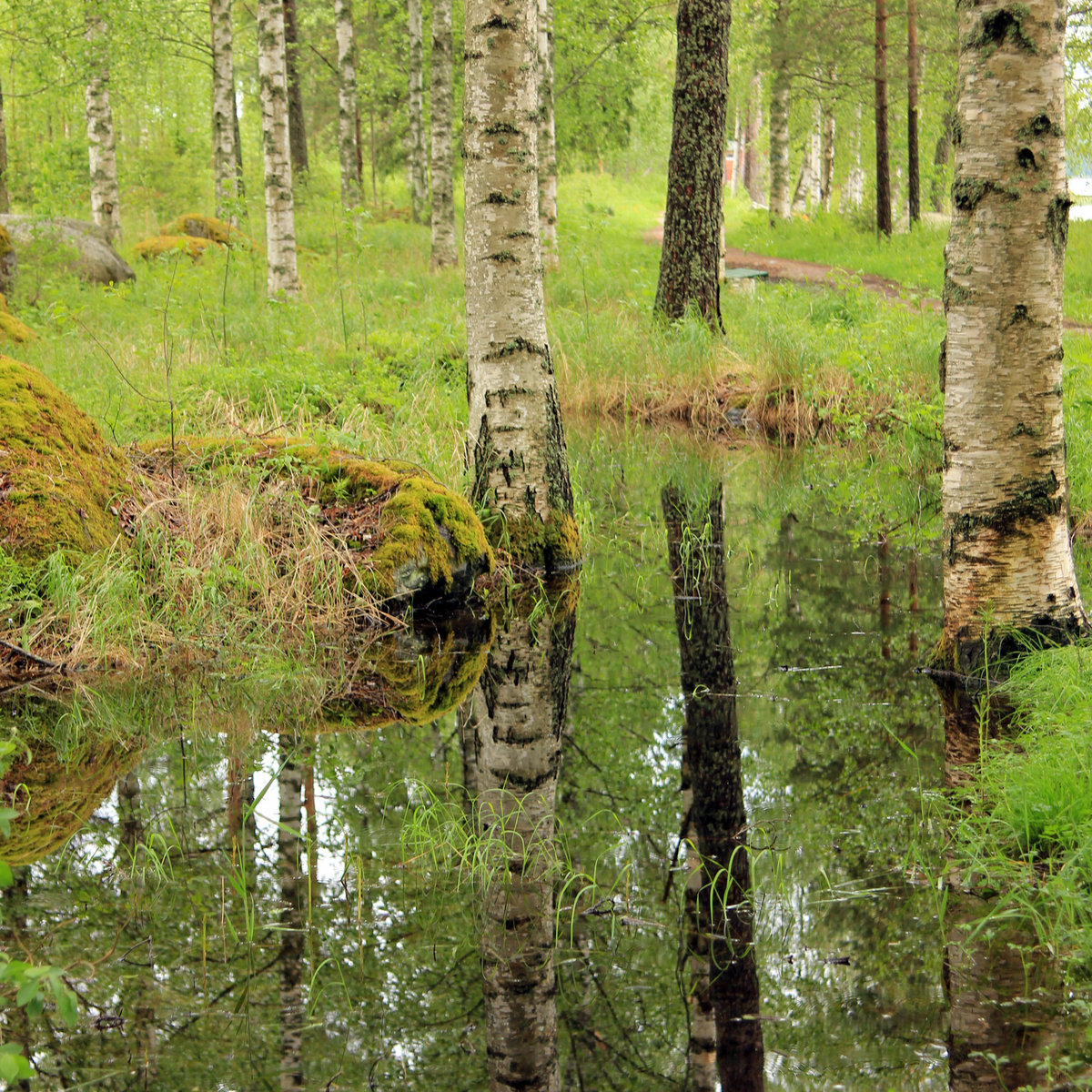 pareidolia: a feedback study for modular synthesiser | Aragorn Eloff ...