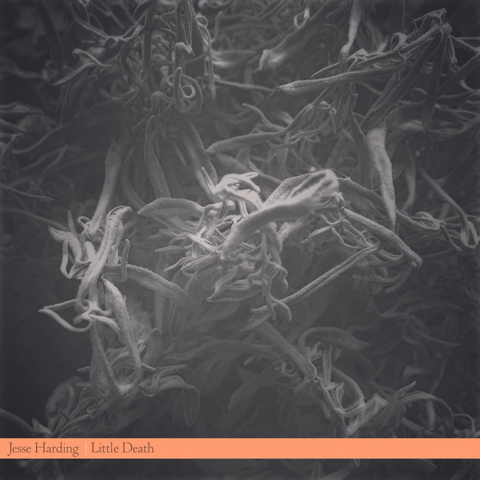 Little Death | Jesse Harding
