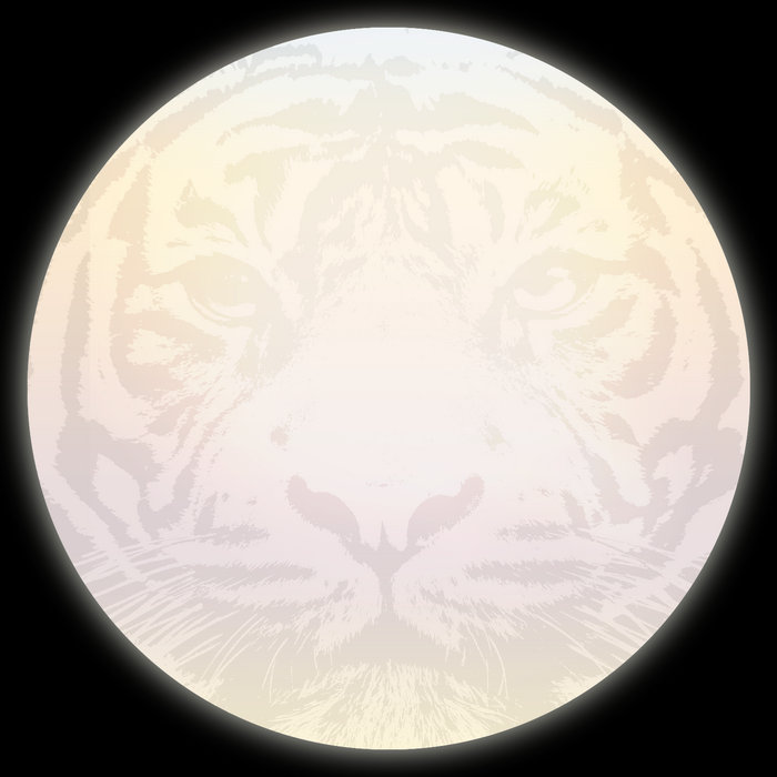 Moon Tiger | Moon Tiger