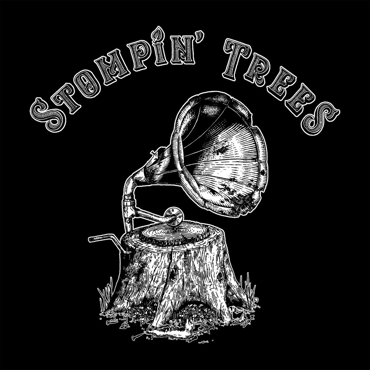 Today's Cajun Advice | Stompin' Trees