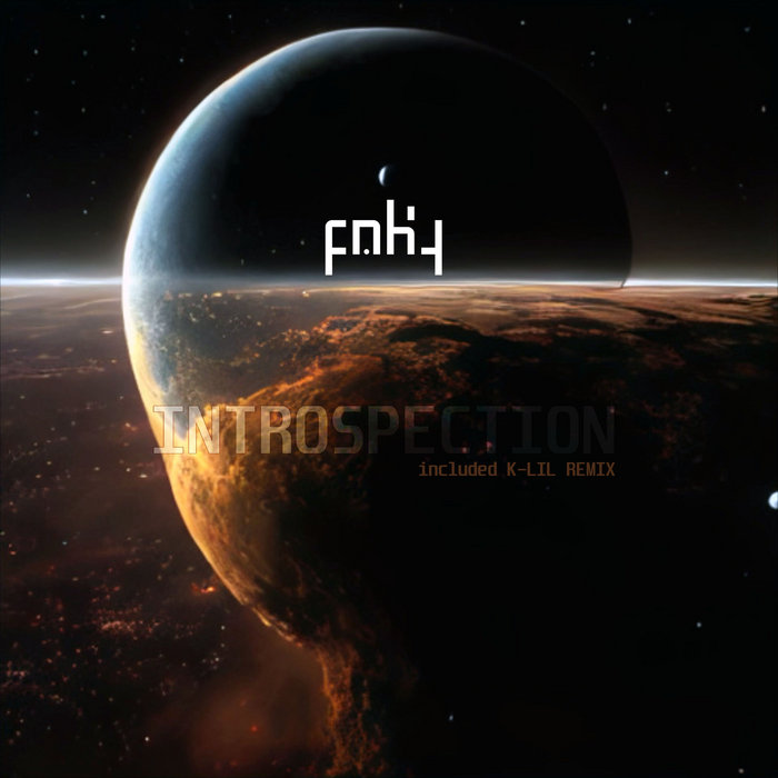 Introspection | Fnky | FNKY