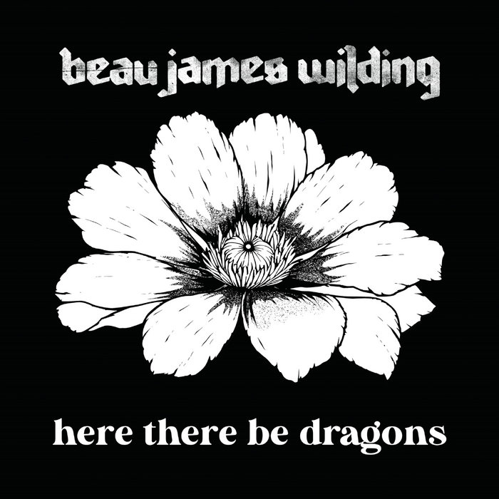 Bird of Paradise | Beau James Wilding