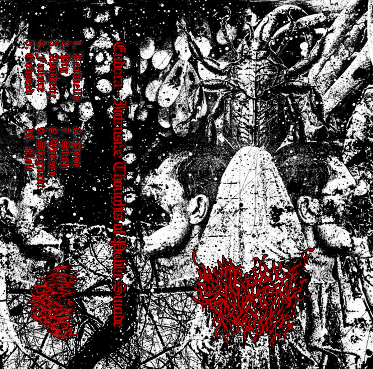 Intrusive Thoughts of Public Suicide | Eudora | Vamonos Records