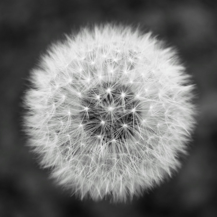 Ignis Mundi | PsyPump