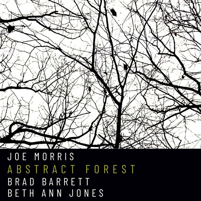 Abstract Forest | Joe Morris, Brad Barrett & Beth Ann Jones | Joe ...