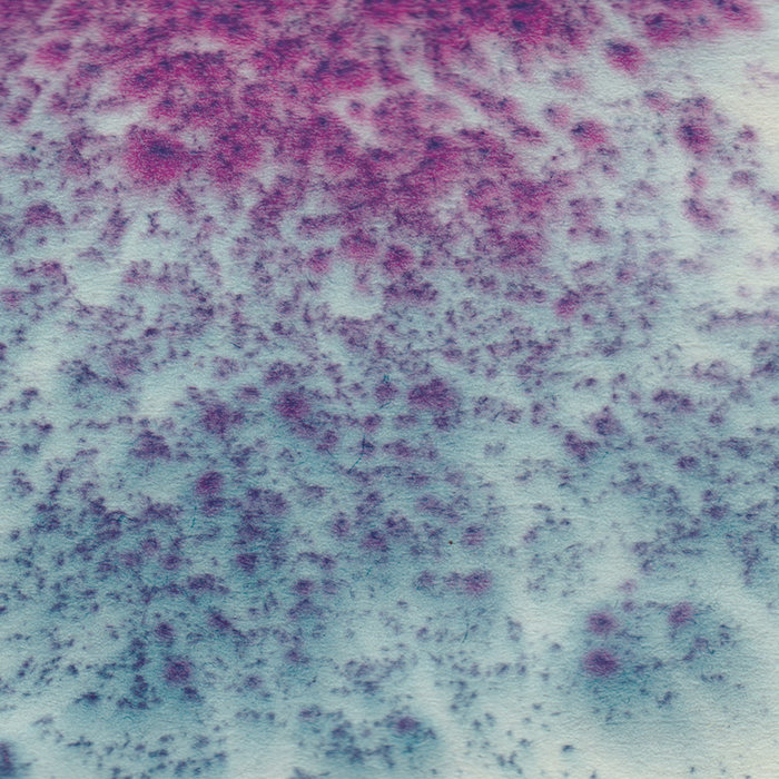 The First Five Years | Arthur Colvin