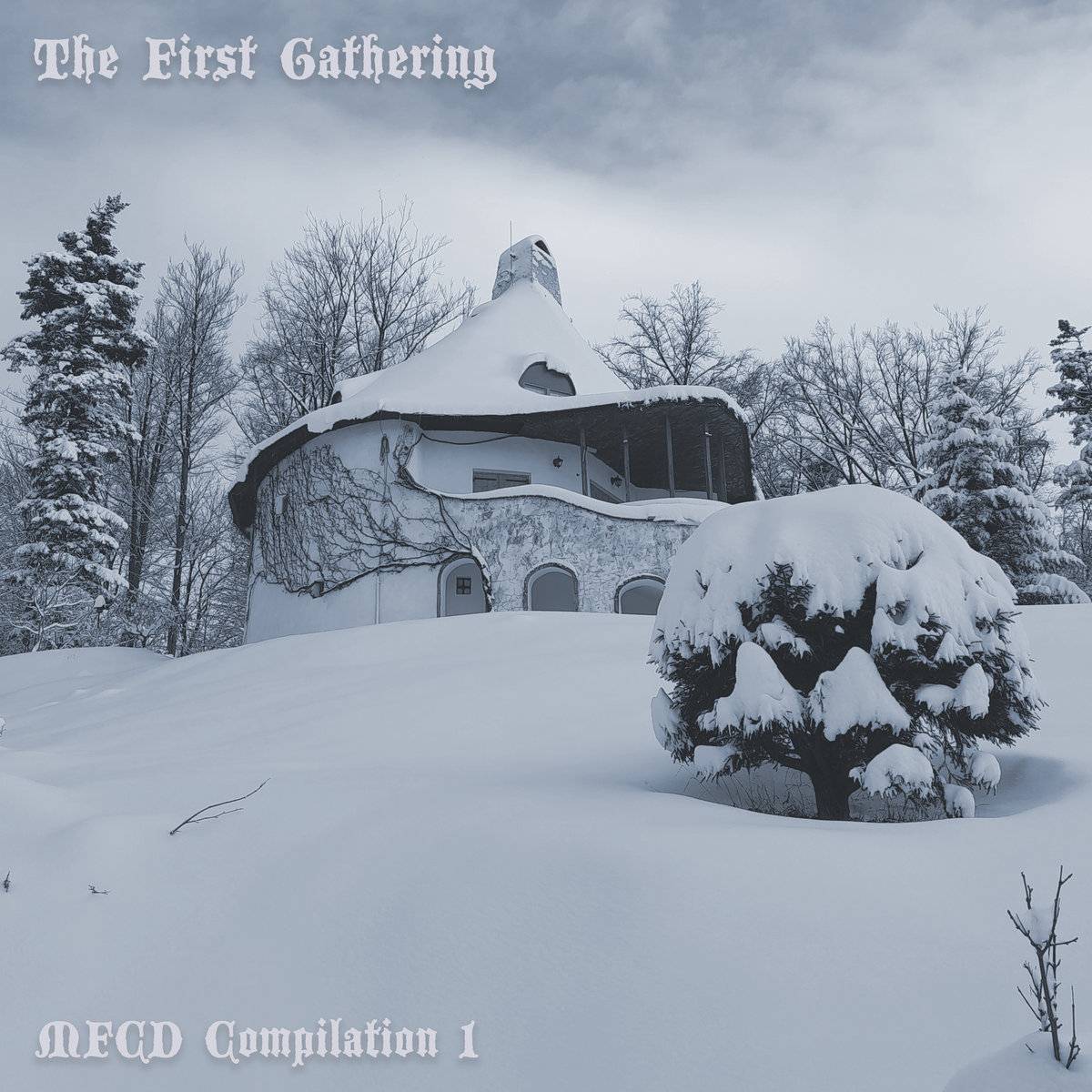 The First Gathering | V/A | Mountain Forest Cabin Dweller