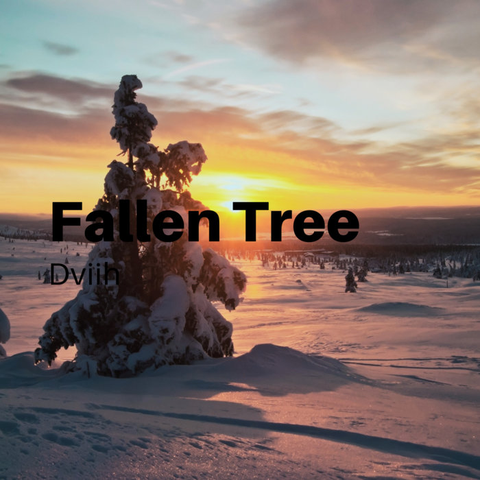 Fallen Tree | Dviih
