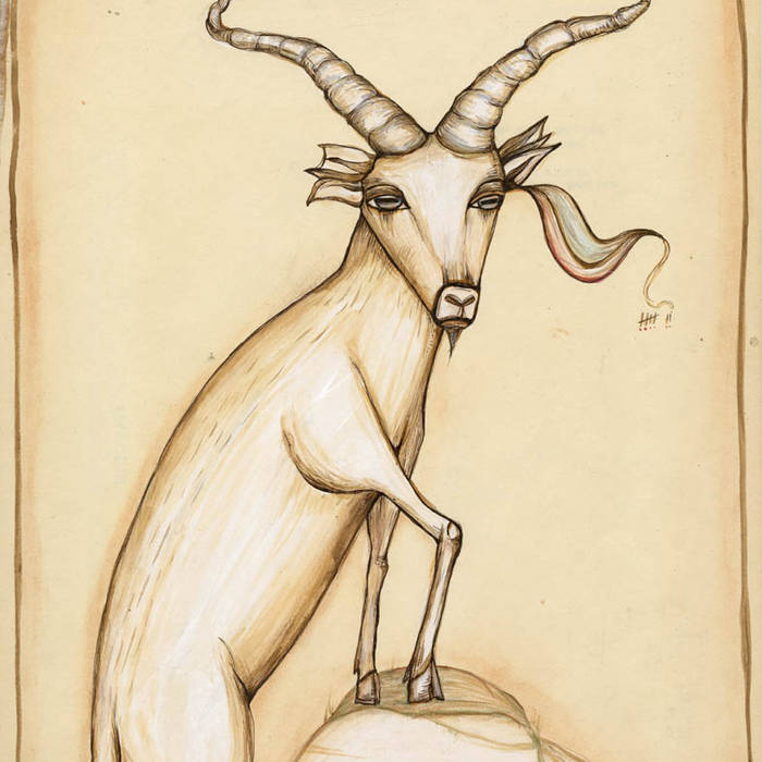 Pyrenean Ibex