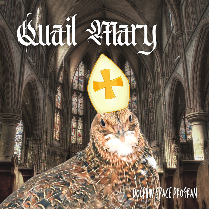 Quail Mary | Dolphin Space Program