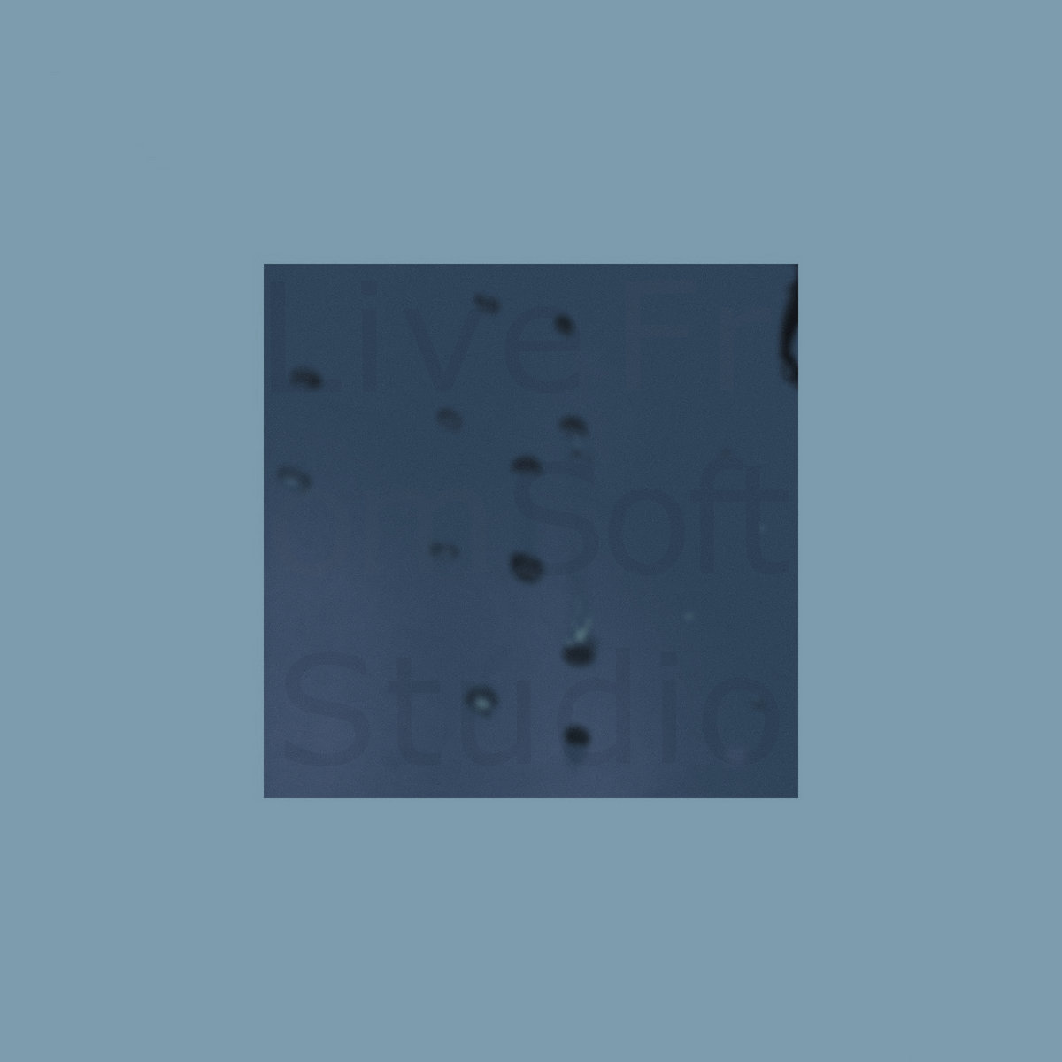 Live From SoftStudio | Daniel Ottini