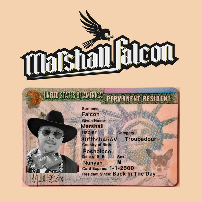 Permanent Resident | Marshall Falcon