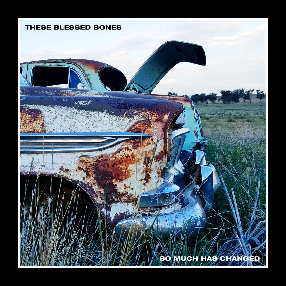 So Much Has Changed | These Blessed Bones