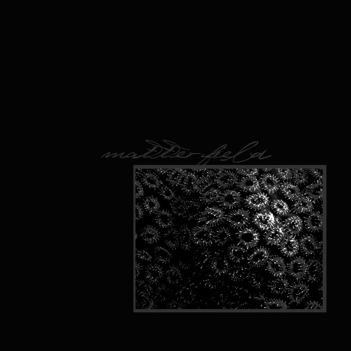 Matter Field | Matter Field | Middle-Man Records