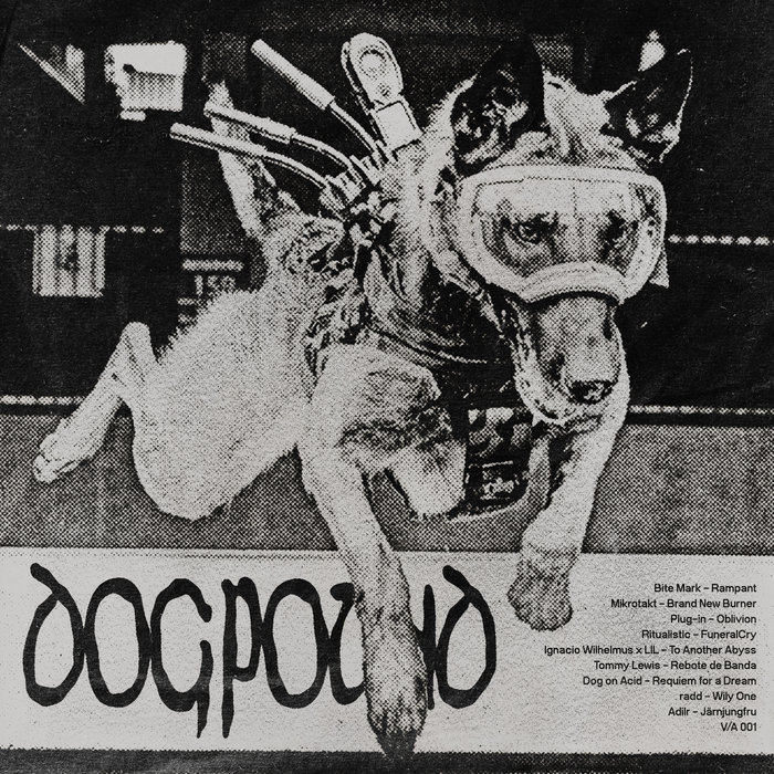 DPVA01 - The Dog Pound VA 01 | Various Artists | Dog on Acid