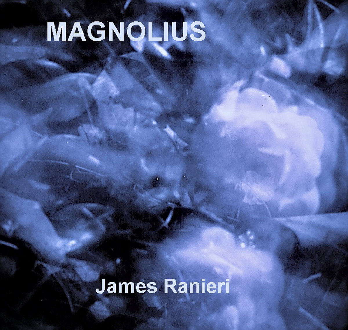 Magnolius | James Ranieri