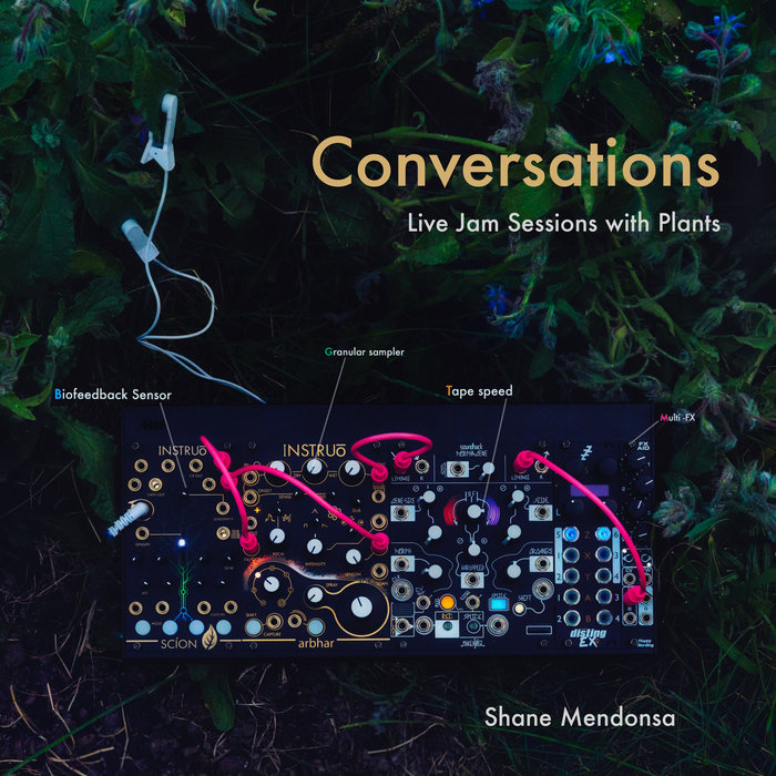 Conversations : Live Jam Sessions with Plants | Shane Mendonsa