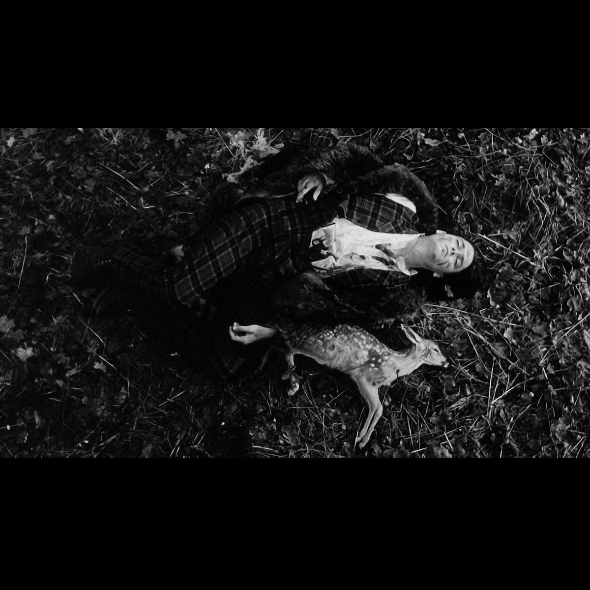 Dead Man: Complete, Vol. II | Cory Strand