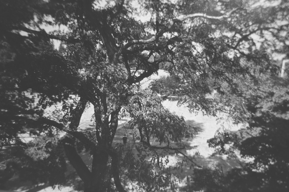 lila bonow | Bottle Meat