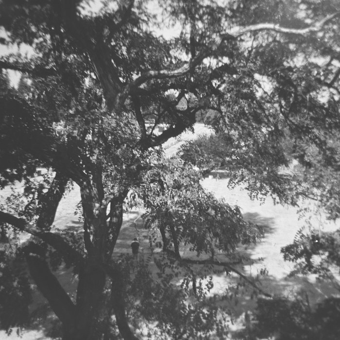 lila bonow | Bottle Meat