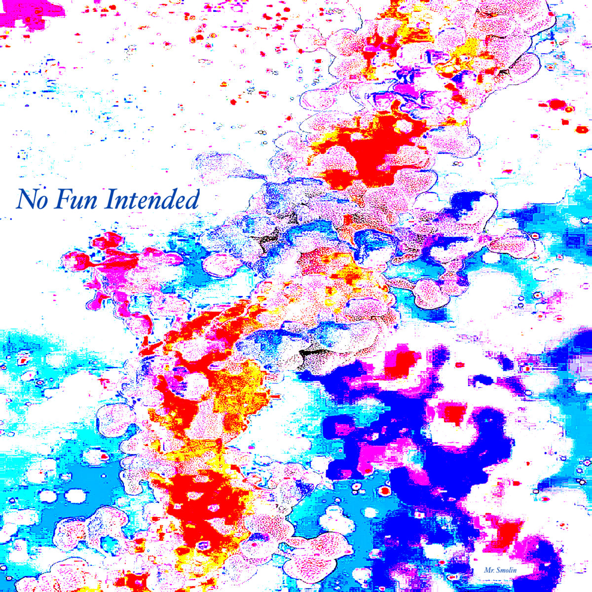 No Fun Intended | Mr. Smolin