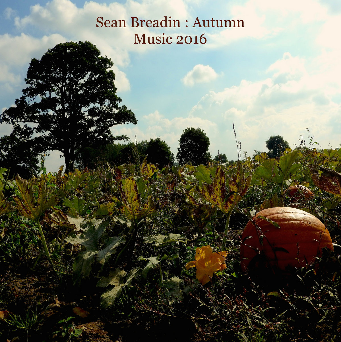 Autumn Music 2016 | Sean Breadin
