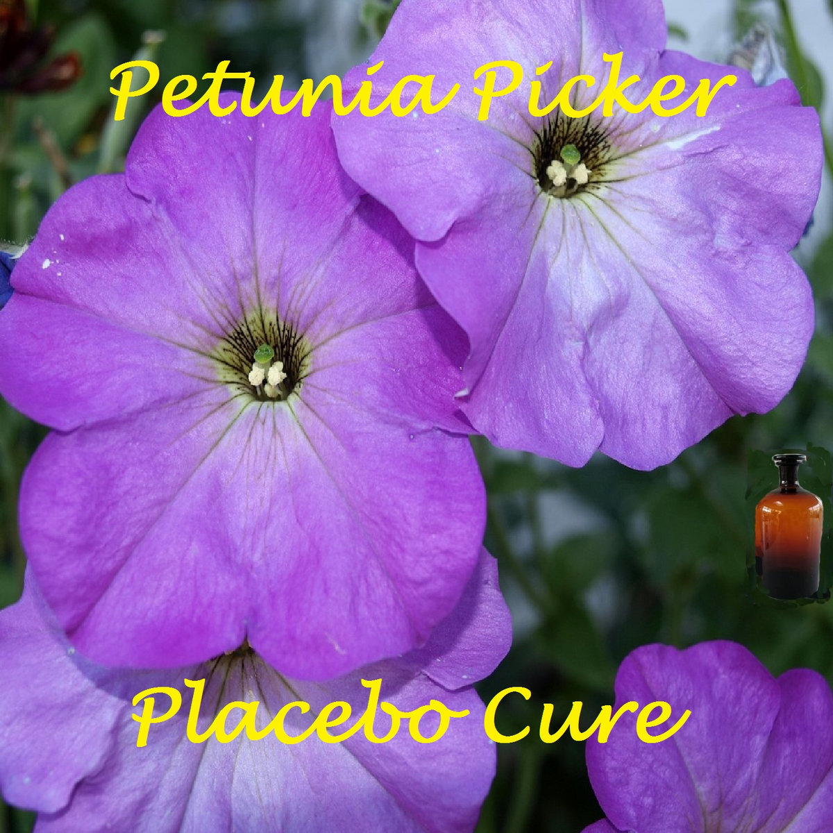 Petunia Picker (Work in progress) | Placebo Cure