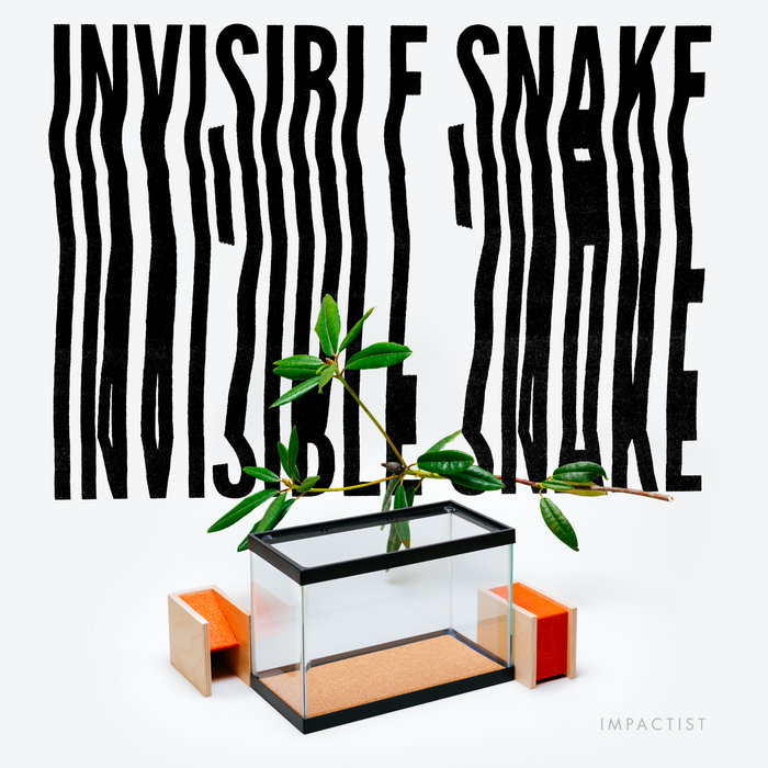Invisible Snake | Impactist