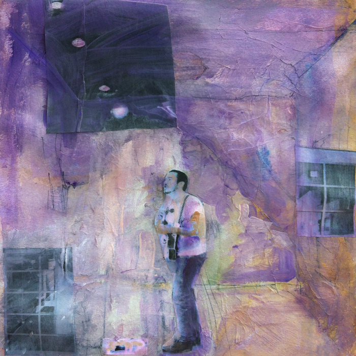 Dolfish Live | Dolfish