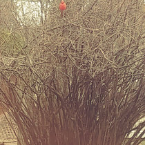 Subscribe to kevin drumm | kevin drumm