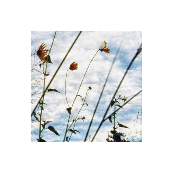 Isohel | Hakobune | hibernate archives