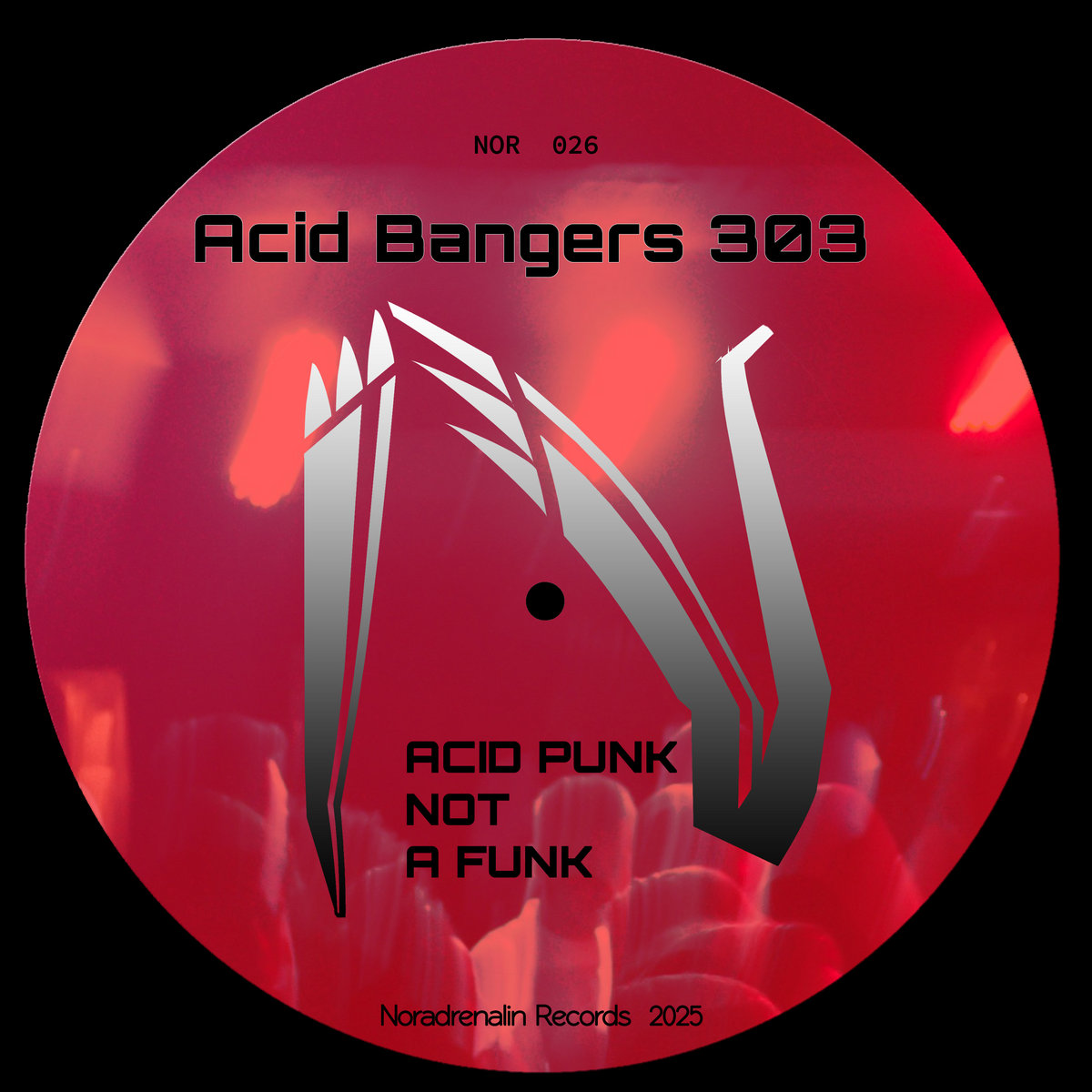 Acid Bangers 303- Acid Punk Not a Funk (Noradrenalin Records 026 ...