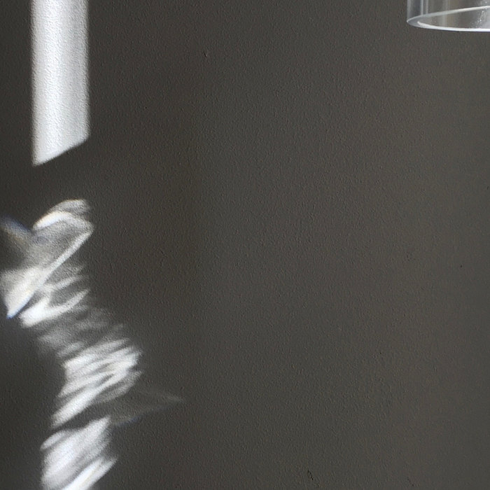 A Silent Burst | Cray