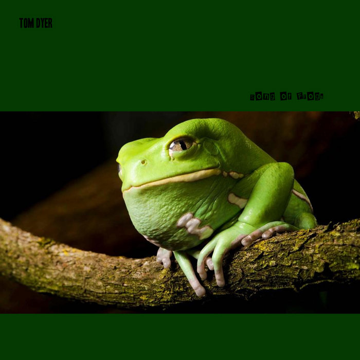 Song of Frogs | Tom Dyer