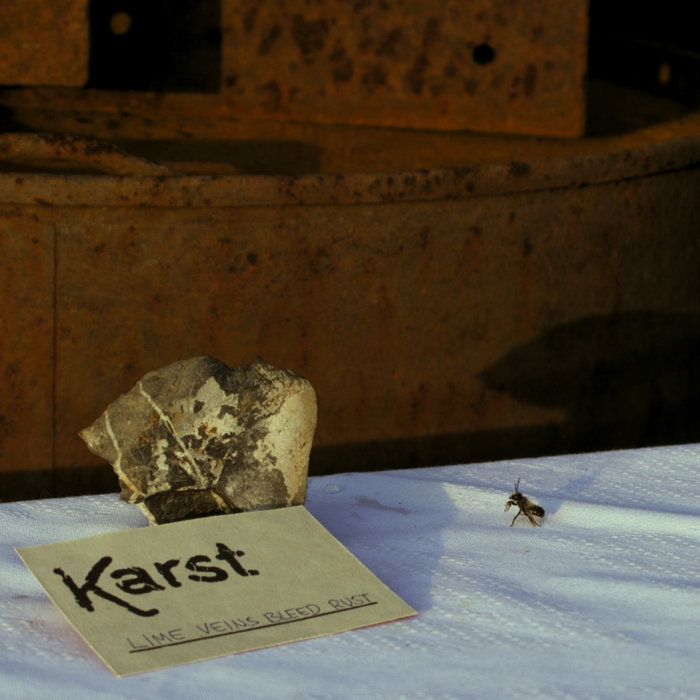 Lime Veins Bleed Rust | Karst