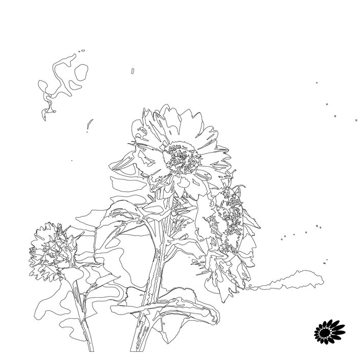 Sunflower Sound Vol. 2 | Sunflower Sound