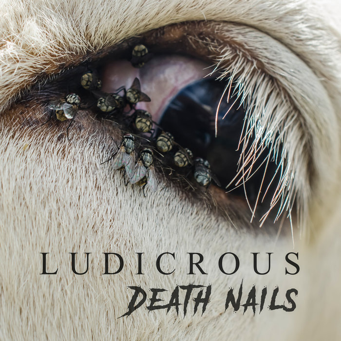 Death Nails | Ludicrous