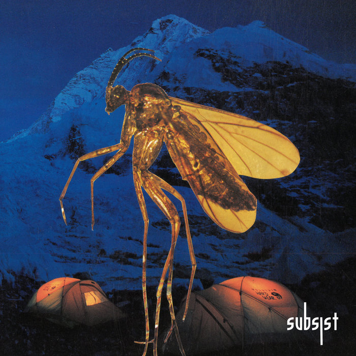 SUBSIST.221D - Lament | Alex Asci | Subsist & Faith Disciplines