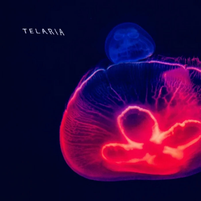 Vacillation | TELARIA