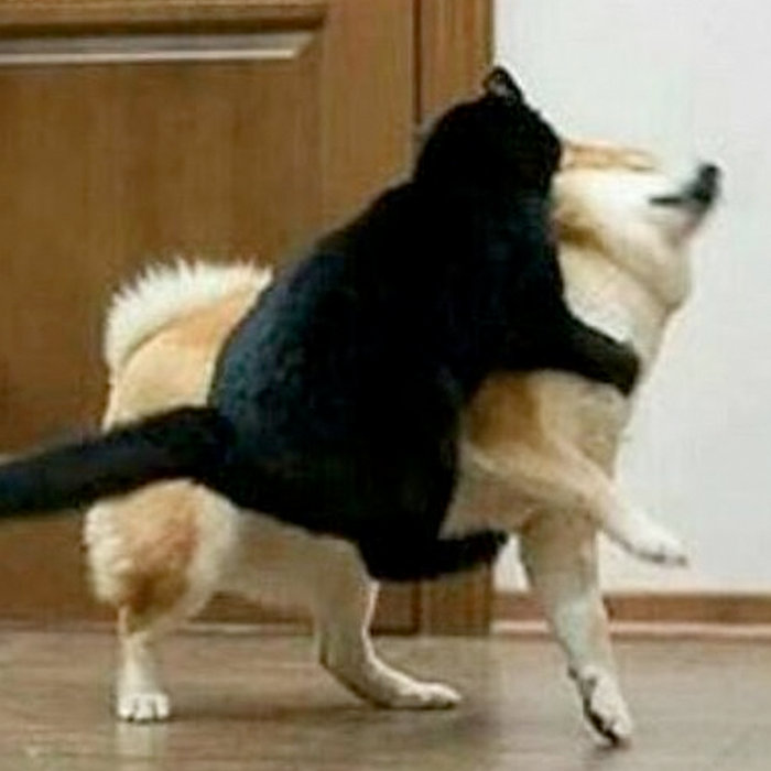 incendio no canavial | DJ TONIAS